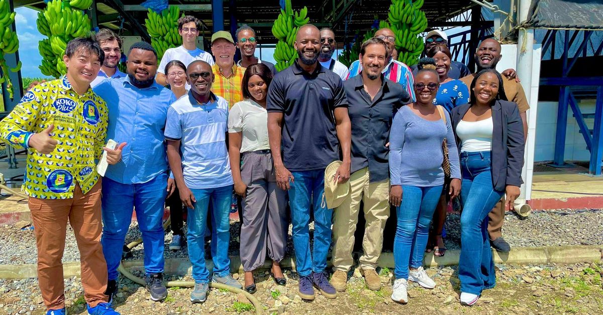 CCIFG On-Site Visit: Golden Exotics Limited (GEL) | CCI FRANCE GHANA