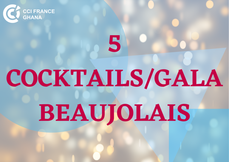 2021 Networking Cocktails in a Nutshell | CCI FRANCE GHANA