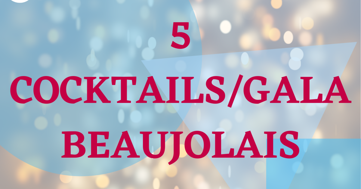 2021 Networking Cocktails in a Nutshell | CCI FRANCE GHANA